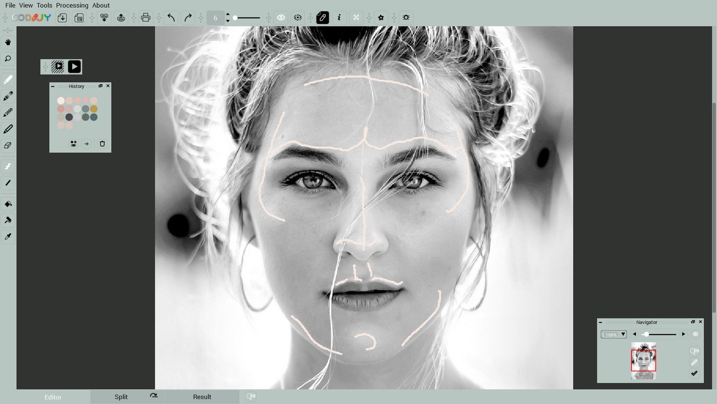 Tutoriel sur la colorisation des portraits | CODIJY