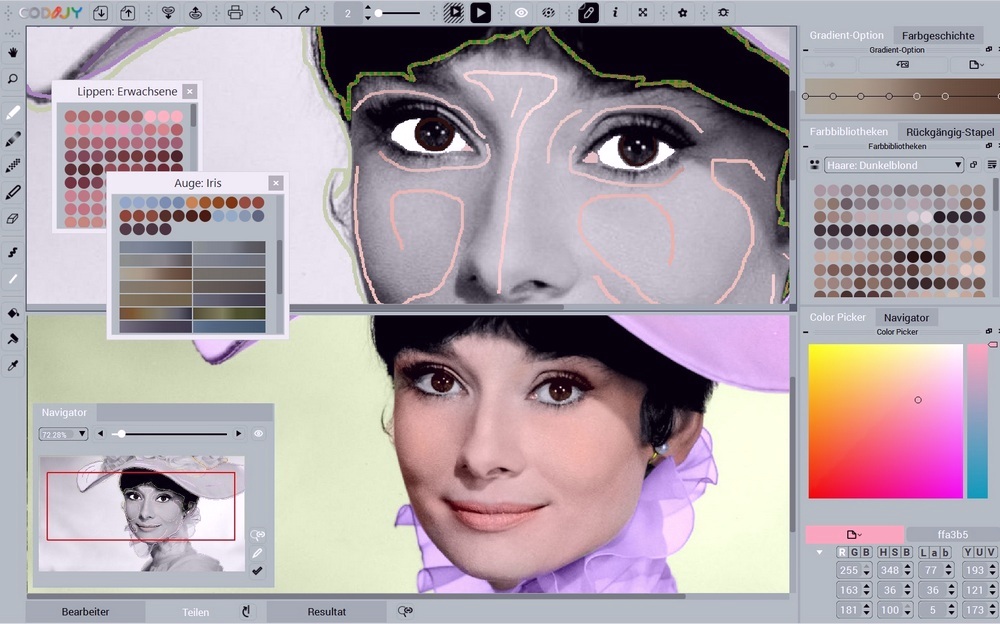Colorizer Pro - Erweiterte Software zur Fotokolorierung für Mac & PC | CODIJY