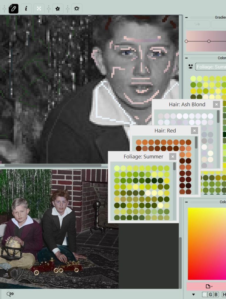 Colorizer Pro - #1 Photo Colorization Software for Mac & PC | CODIJY