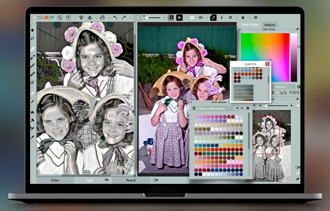 Get Started with CODIJY colorization software | CODIJY