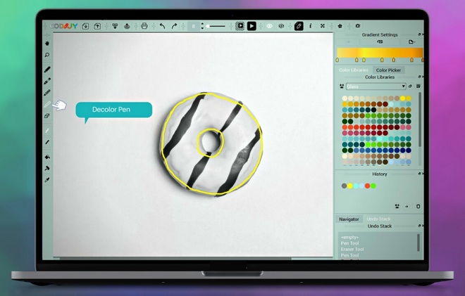 Get Started with CODIJY colorization software | CODIJY