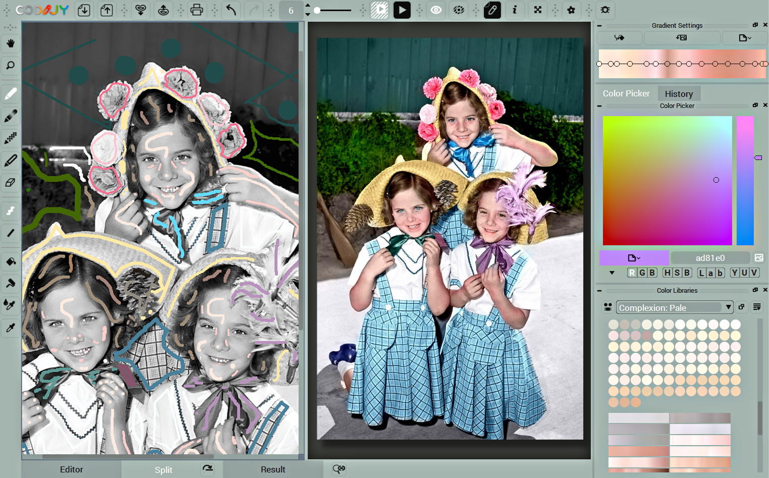Colorizer Pro - Logiciel avancé de colorisation de photos pour Mac et ...