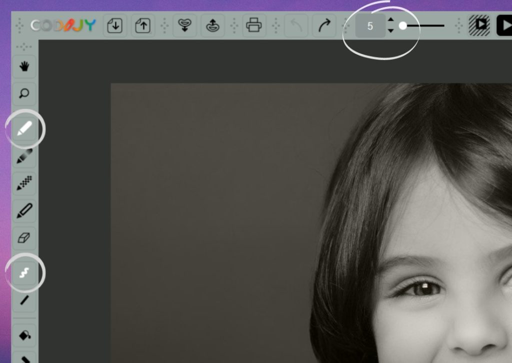 Get Started with CODIJY colorization software | CODIJY