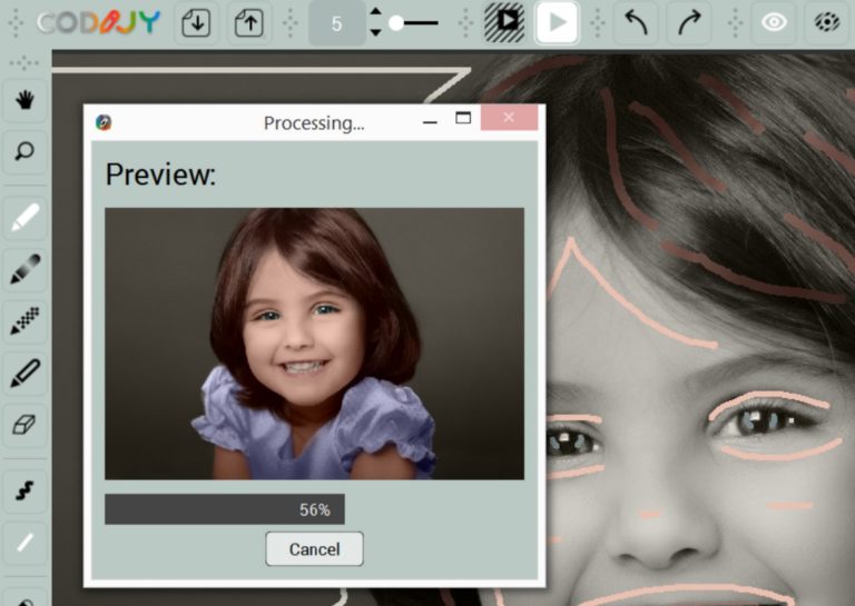Get Started with CODIJY colorization software | CODIJY