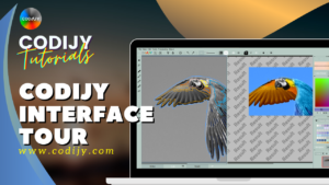 Get Started with CODIJY colorization software | CODIJY