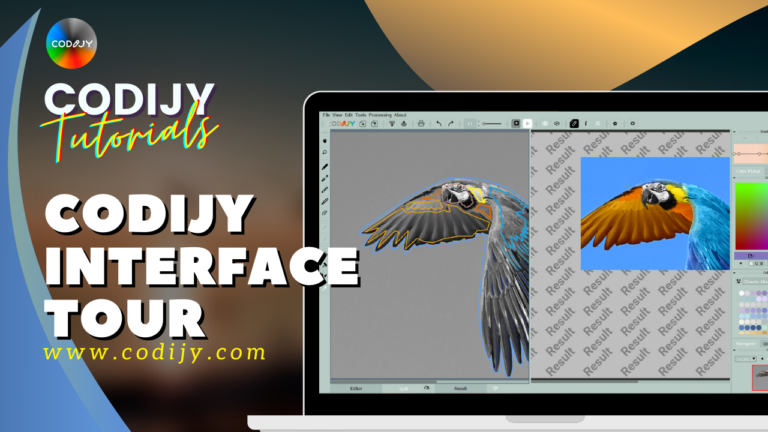 Get Started with CODIJY colorization software | CODIJY