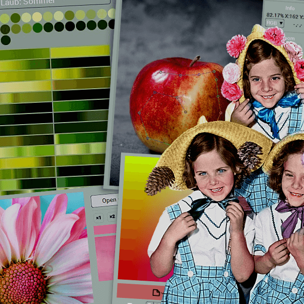 Order CODIJY Colorizer Pro Commercial License | CODIJY