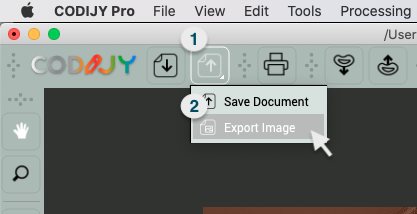 Photo Colorization Process | CODIJY