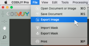 Photo Colorization Process | CODIJY