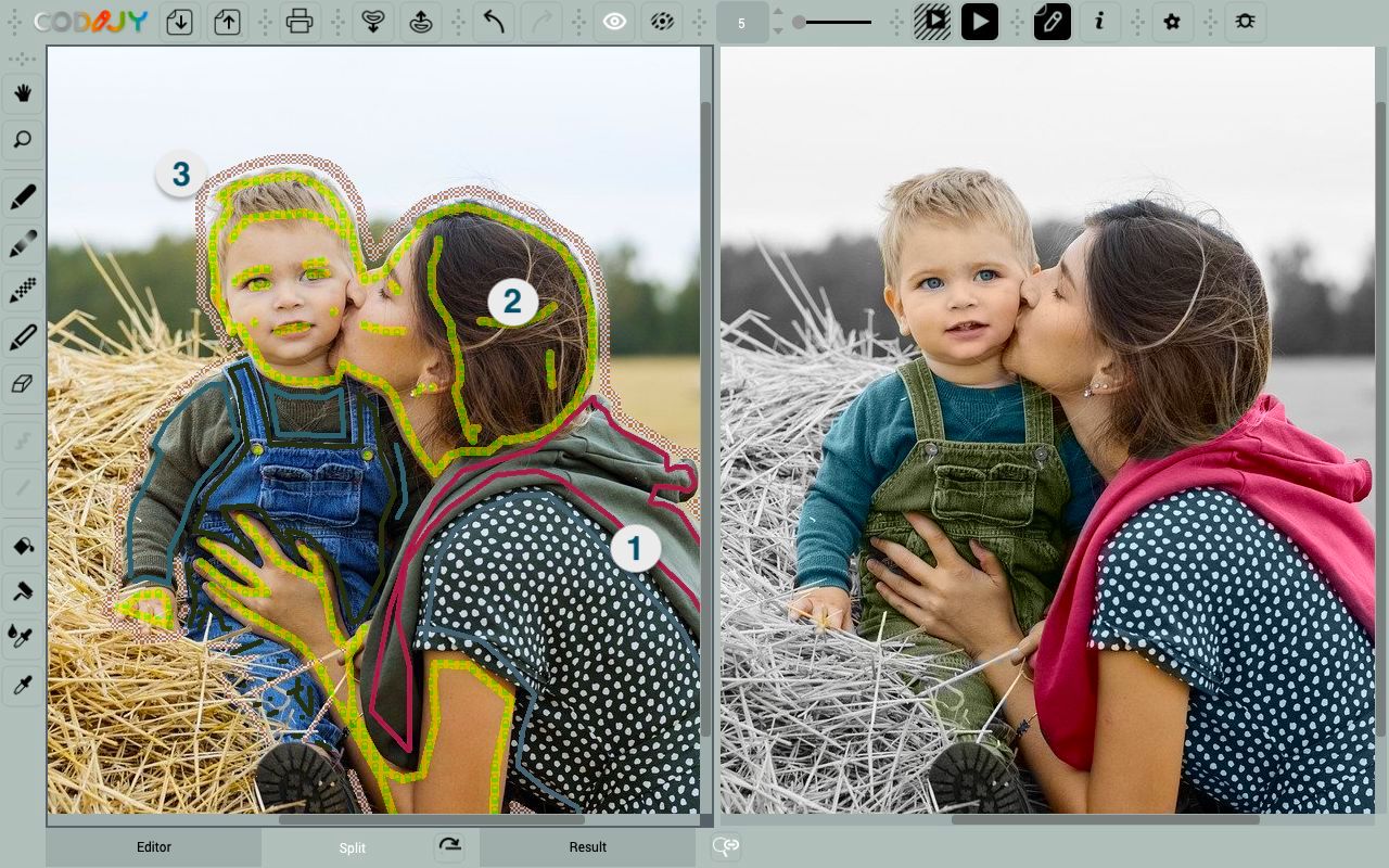 CODIJY Colorization Technology | CODIJY