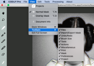 Interface Tour | CODIJY