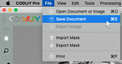 Photo Colorization Process | CODIJY