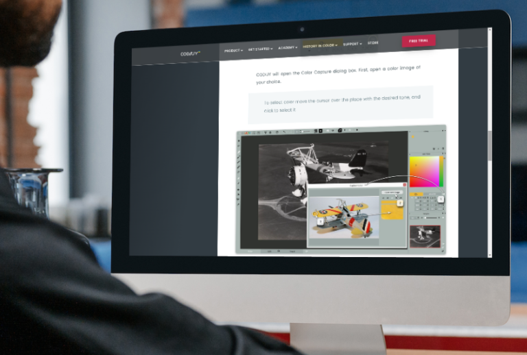 Colorizer Pro & Recoloring User Manual | CODIJY