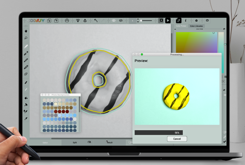 Photo Colorization Process | CODIJY
