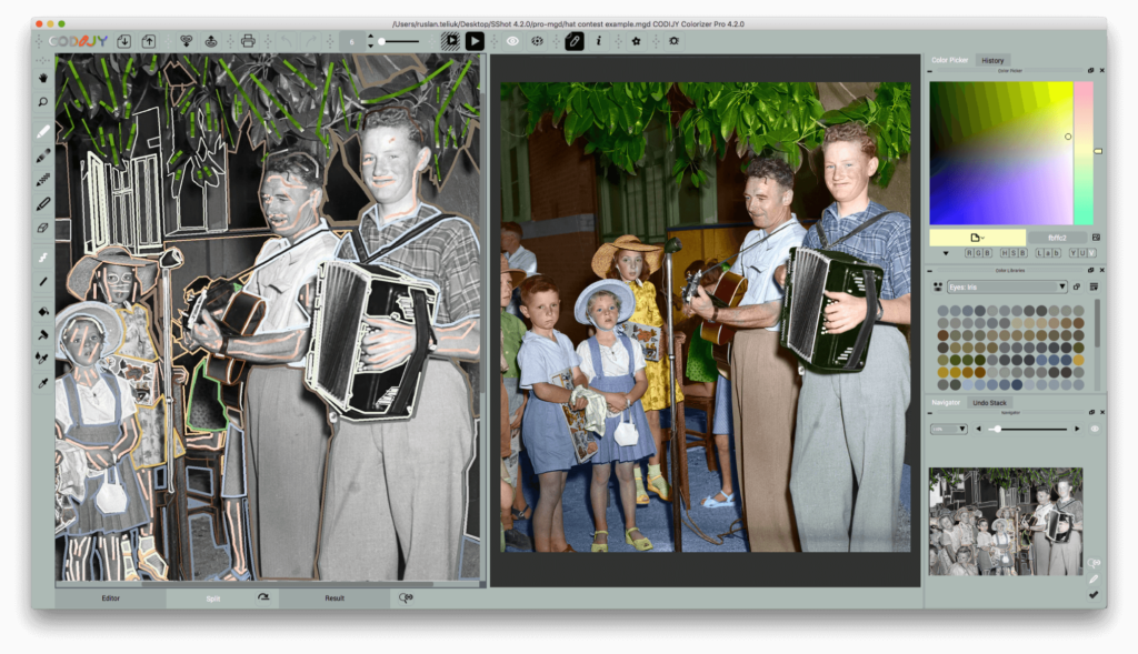 Colorize Detailed Scenes with COLORIZER PRO | CODIJY