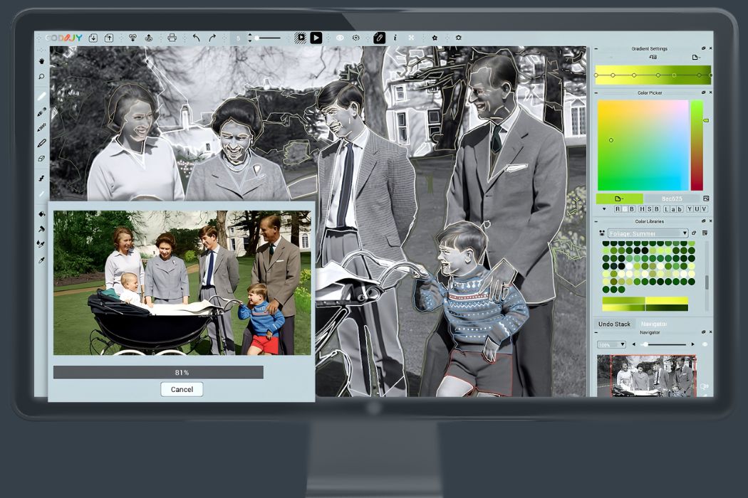 Colorizer Pro & Recoloring. #1 Software for Photo Colorists. | CODIJY