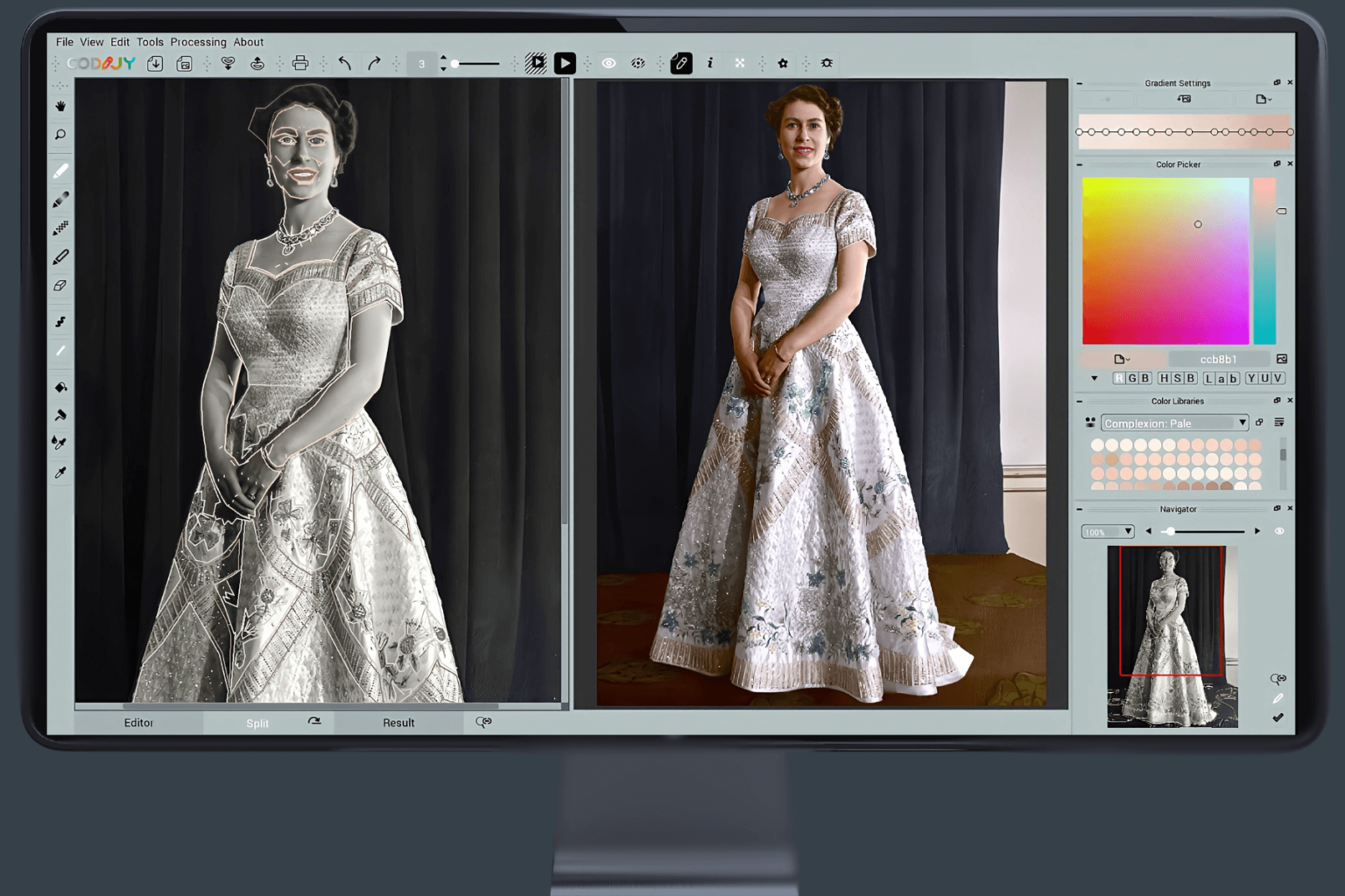 Portrait Colorization with COLORIZER PRO | CODIJY