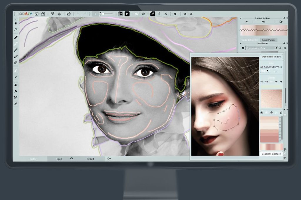 Portrait Colorization with COLORIZER PRO | CODIJY