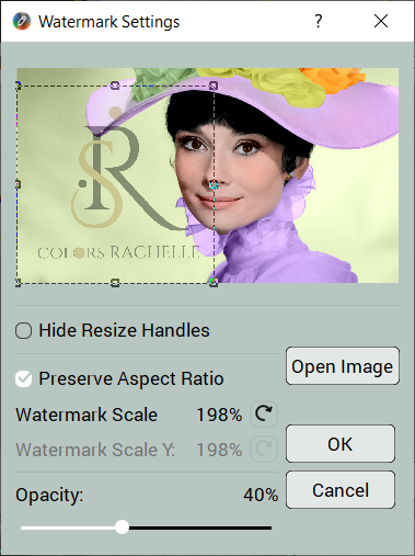 Photo Colorization Process | CODIJY