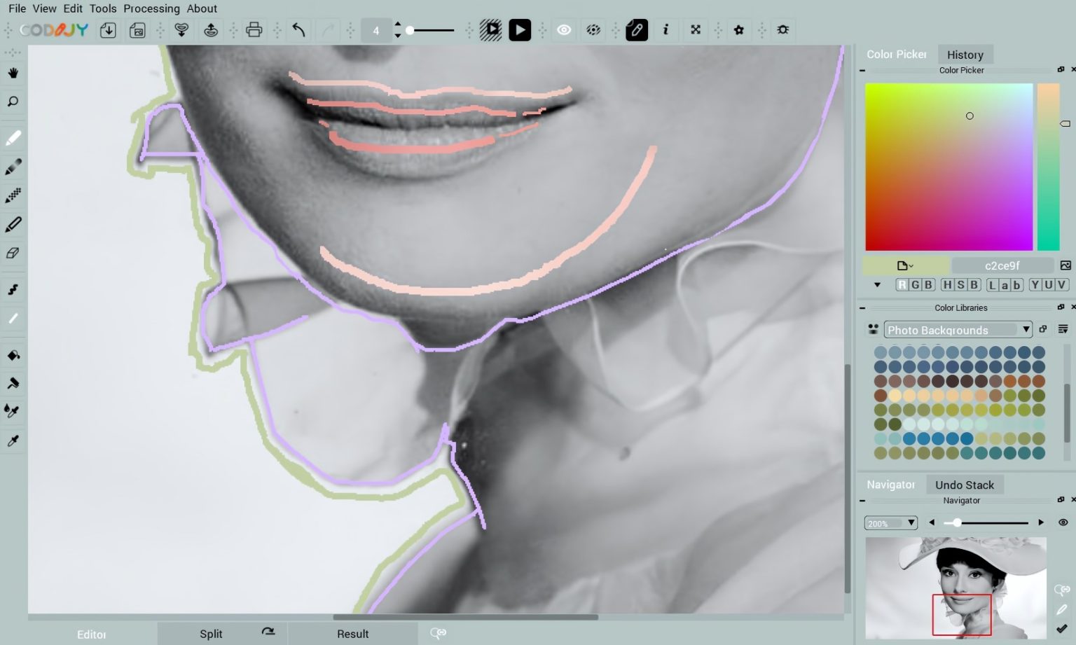 Photo Colorization Process | CODIJY