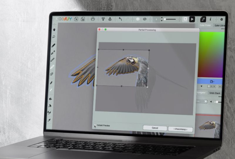 Get Started with CODIJY colorization software | CODIJY