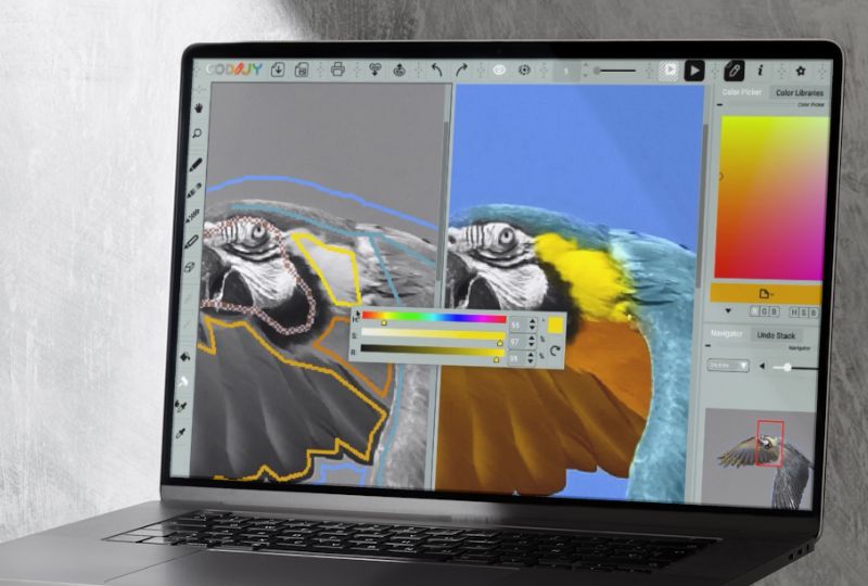 Get Started with CODIJY colorization software | CODIJY