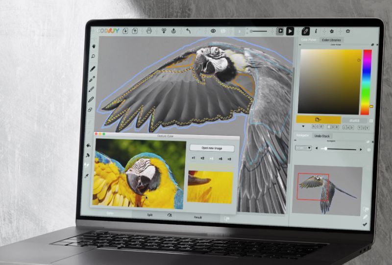 Get Started with CODIJY colorization software | CODIJY