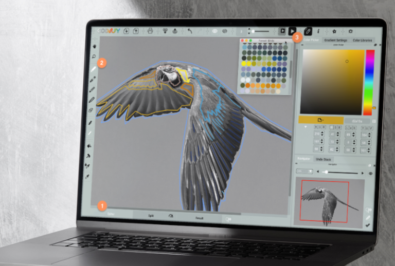 Interface Tour | CODIJY