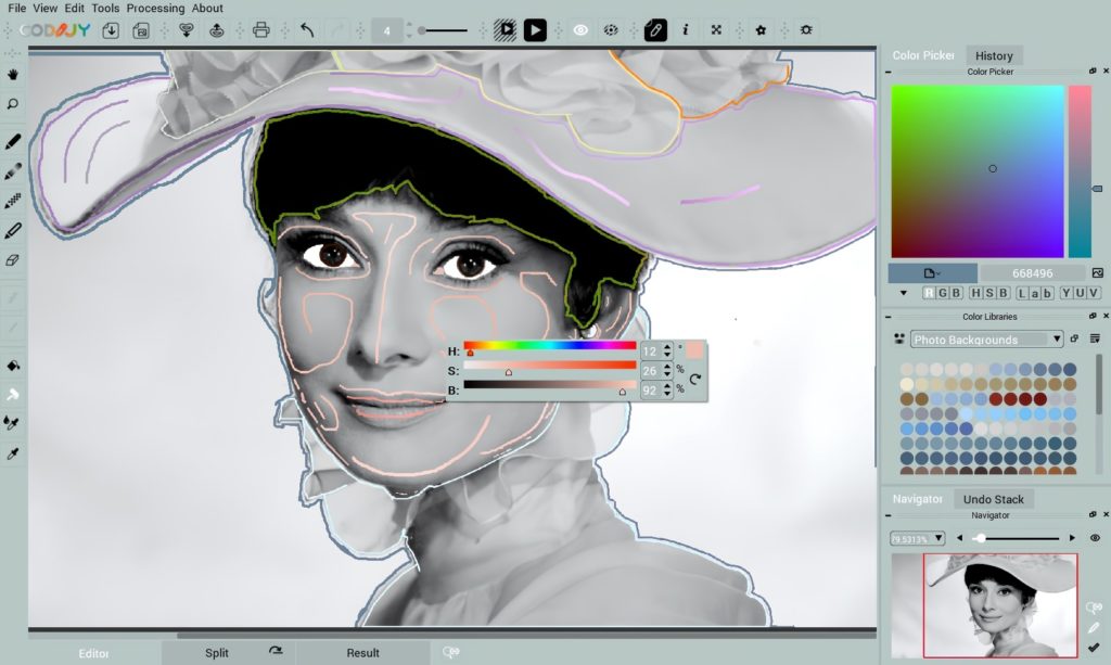 Photo Colorization Process | CODIJY