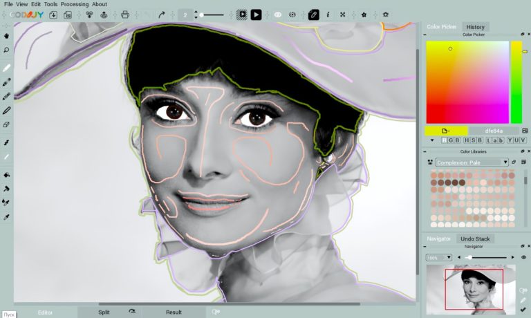 Photo Colorization Process | CODIJY