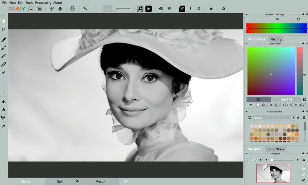 Photo Colorization Process | CODIJY