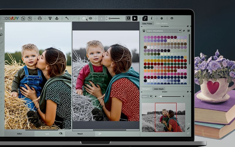 Get Started with CODIJY colorization software | CODIJY