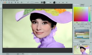 Photo Colorization Process | CODIJY