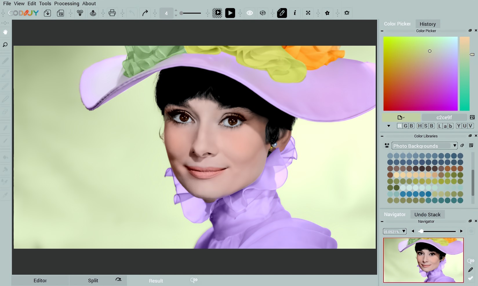 Photo Colorization Process | CODIJY