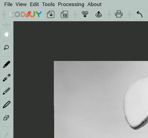Photo Colorization Process | CODIJY