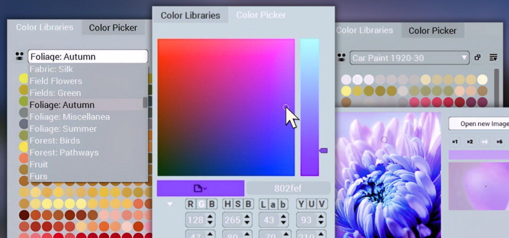 Color Selection | CODIJY
